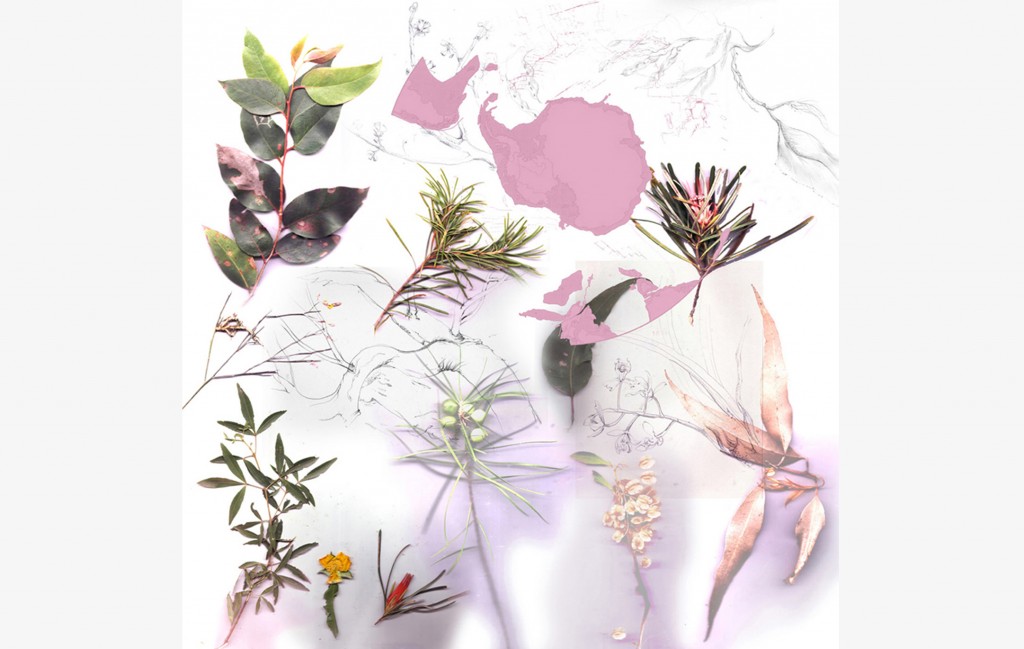 Drawing Bundanon Textures | SciArt