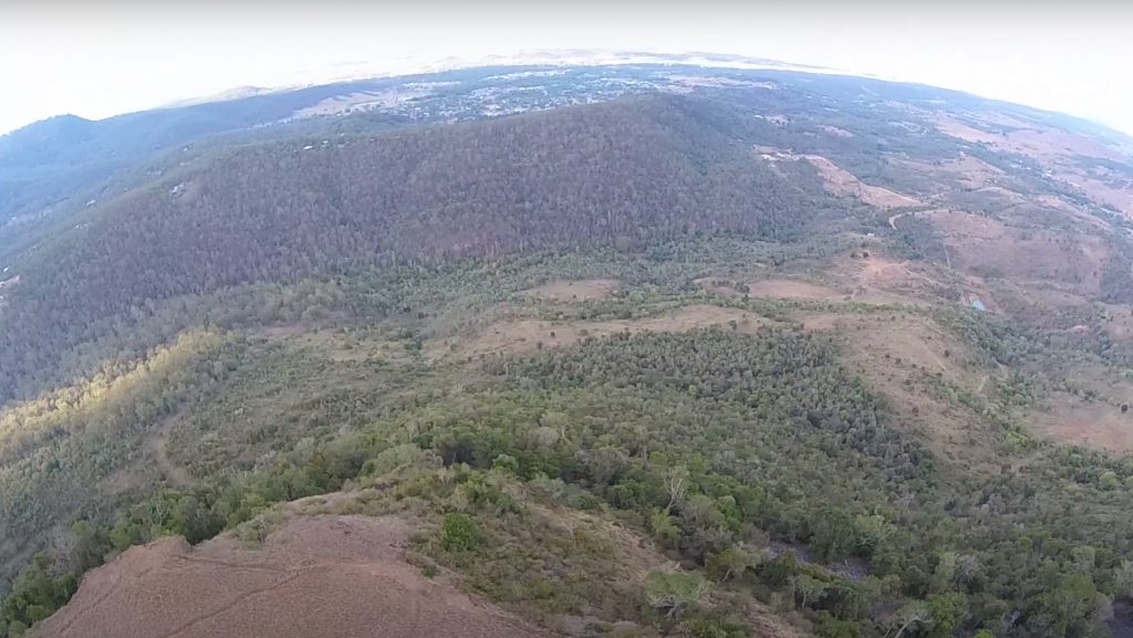 Multuggerah/Meewah Nature Reserve Initiative | SciArt