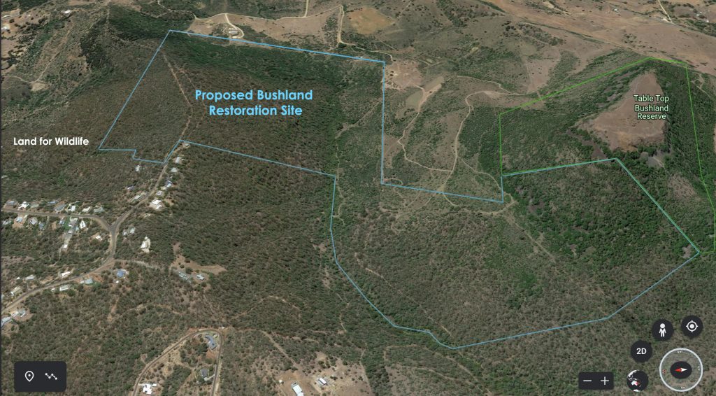 Multuggerah/Meewah Nature Reserve Initiative | SciArt