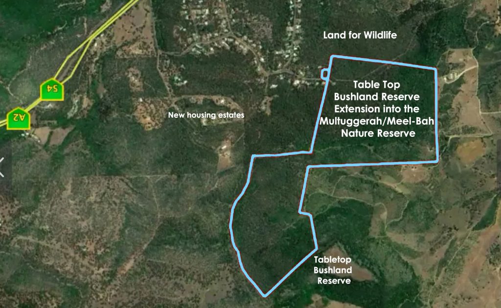 Multuggerah/Meewah Nature Reserve Initiative | SciArt