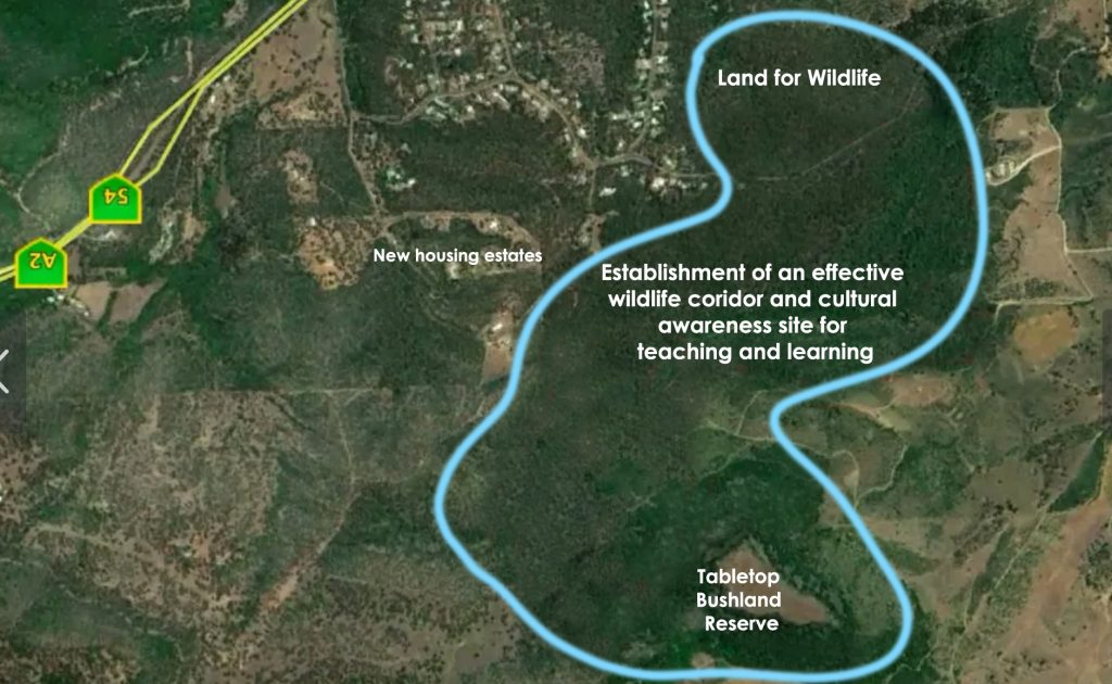 Multuggerah/Meewah Nature Reserve Initiative | SciArt
